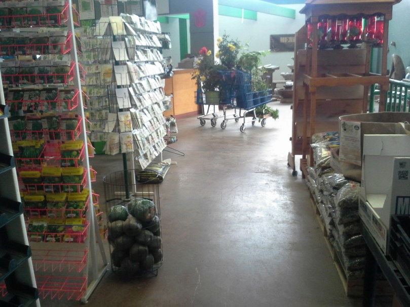 Garden Center – Newman's Nursery